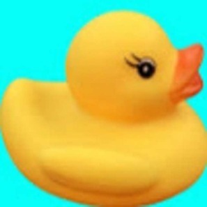 积木玩具秀