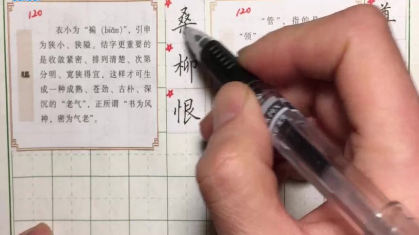 硬笔书法教程:褊、相管领汉字结构讲解,写的确实好看,技巧实用