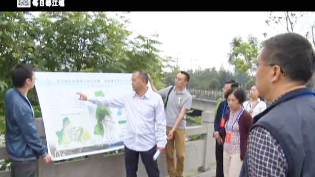 办好办实人大代表建议批评意见