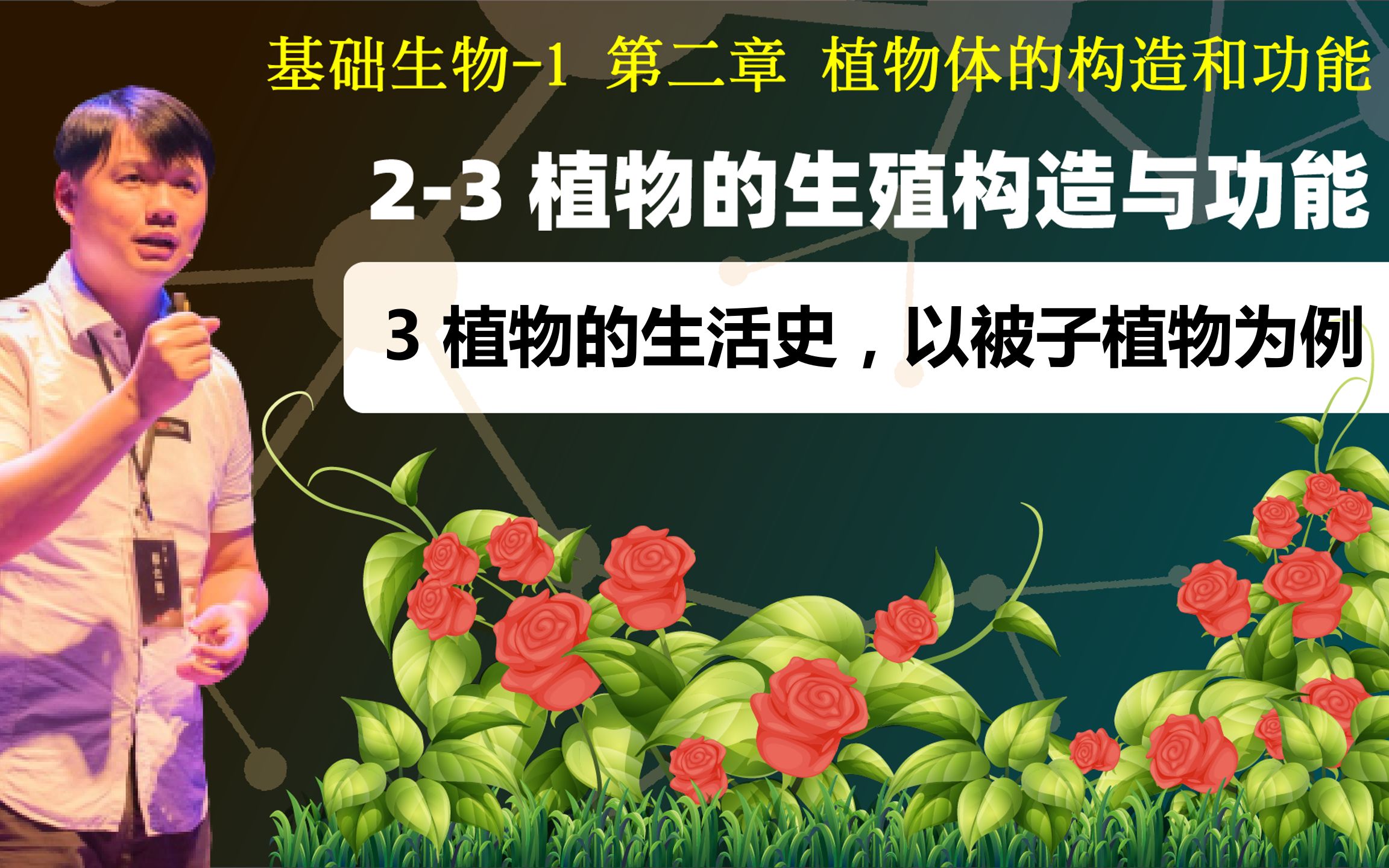 基础生物学 2-3.3 植物的生活史-以被子植物为例