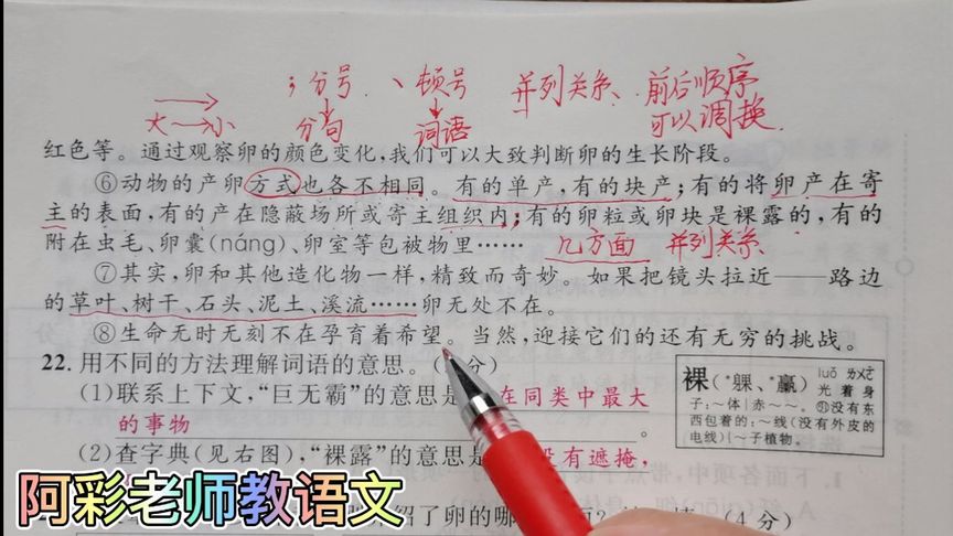 小学语文中高年级标点训练,分号和顿号分不清?找到窍门不用急
