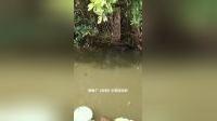 学习贯彻信访工作条例5