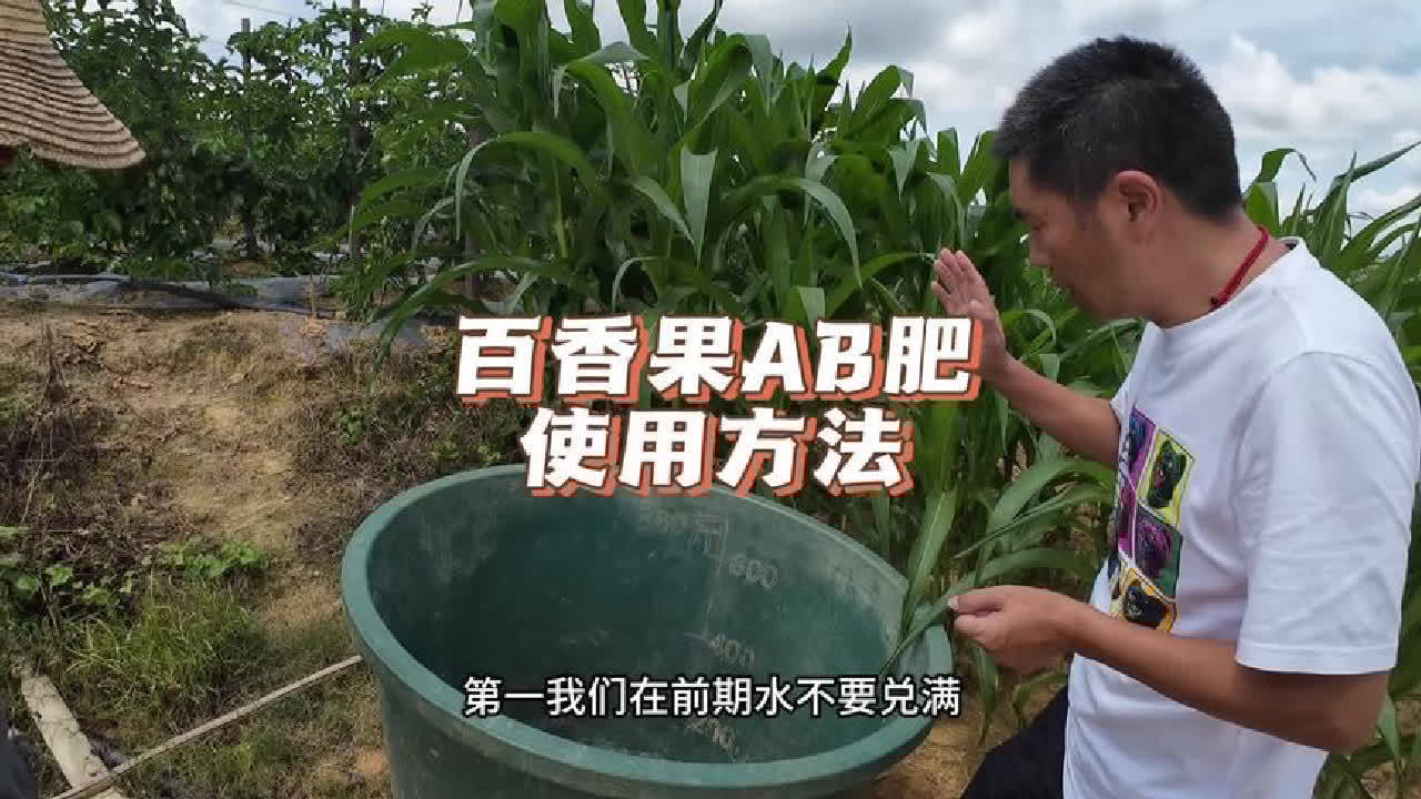 #来学农枝 #百香果 #三农 百香果AB肥使用方法