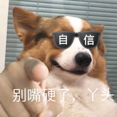 痞型楠 