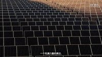 今年地球日 苹果环保公益宣传片 库克亲自上阵!