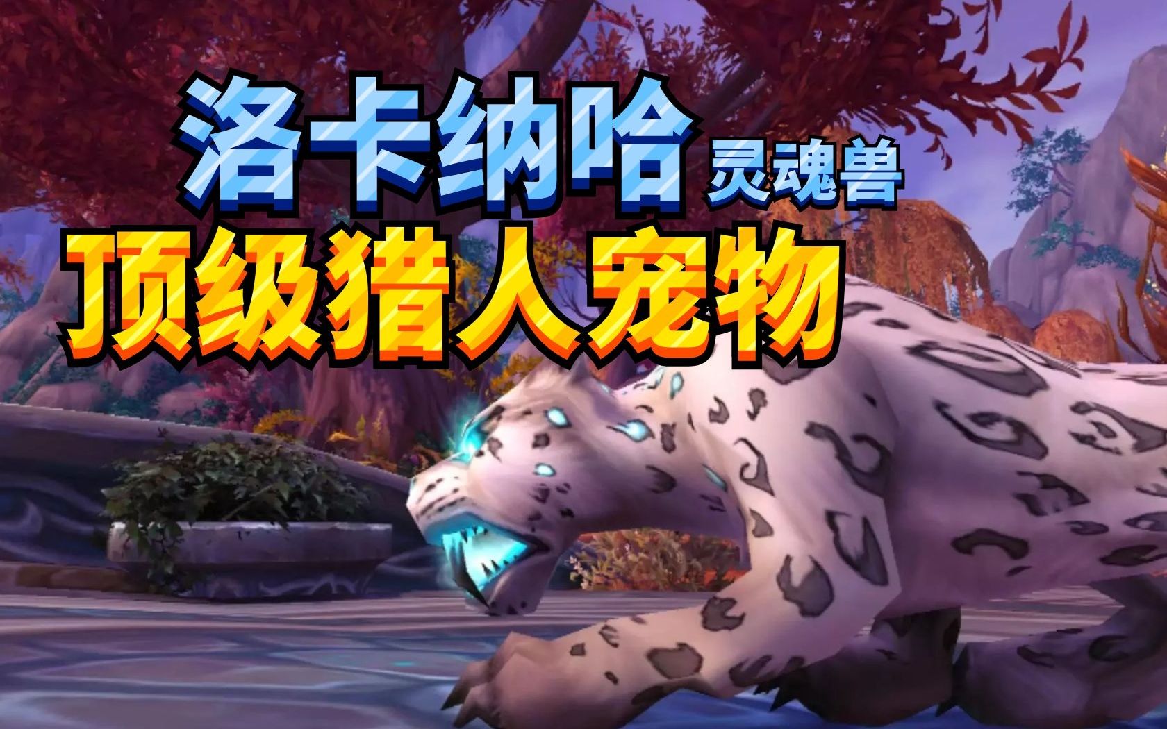 【老司机】洛卡纳哈灵魂兽,顶级猎人宠物!(魔兽世界百大系列-猎人宠物...