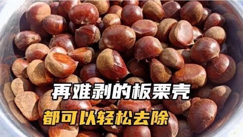 板栗剥壳难不要愁,村民只用了两个步骤,外壳内皮都能轻松去除