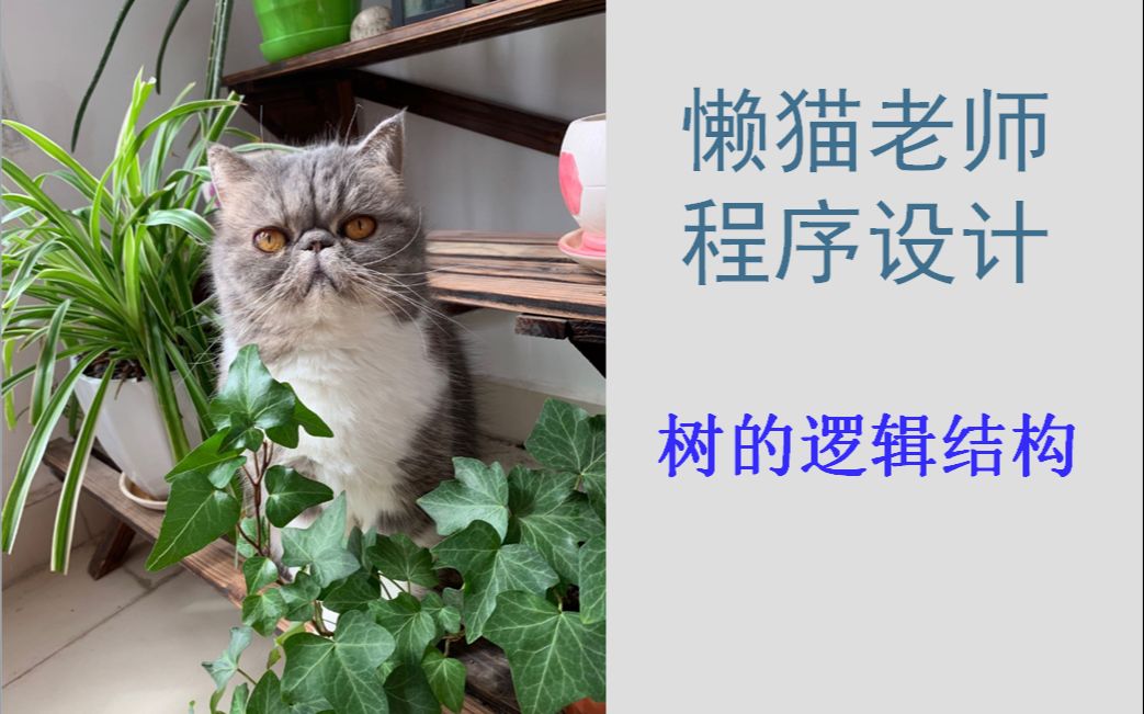 懒猫老师-数据结构-(20)树的逻辑结构