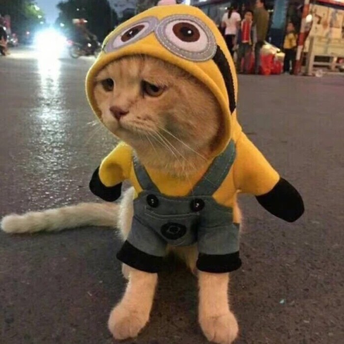 乐乐_优品 