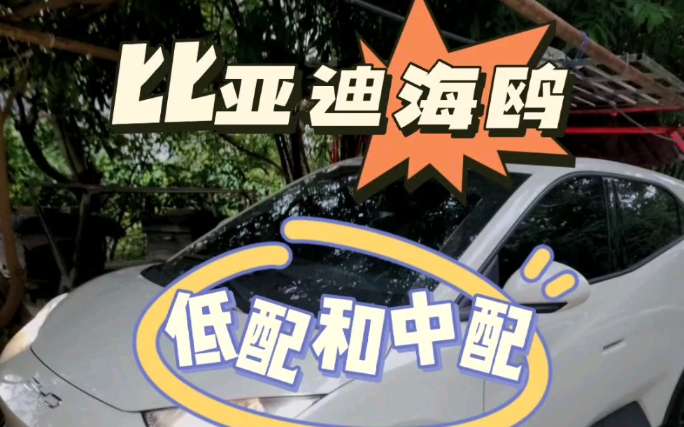 比亚迪海鸥低配和中配差5000块,到底有哪些区别?海鸥车主跟大家说这...