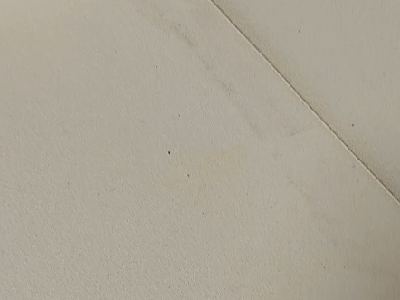 布衣沙发干洗#深圳床垫高温蒸汽杀螨虫清洗#布艺沙发清洗#地毯清洗...