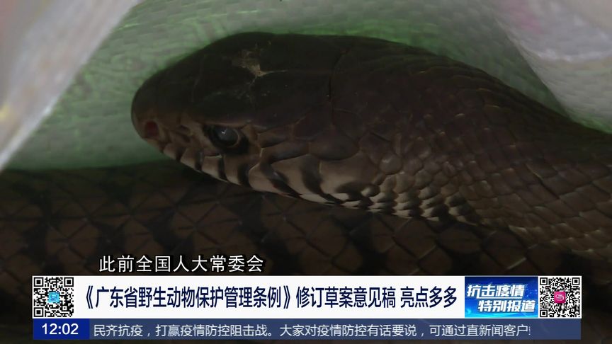 乱吃野味重罚!广东公布《野生动物保护管理条例》修订草案意见稿