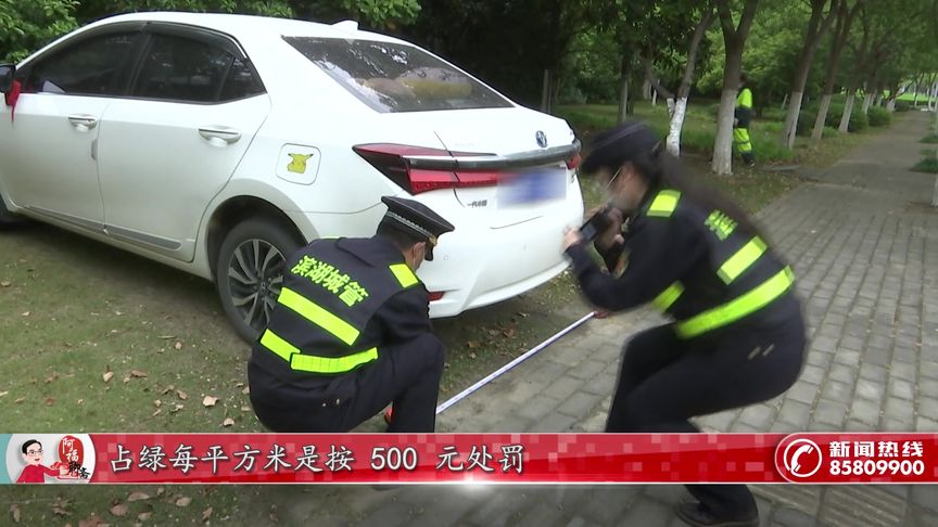 绿化带违停 每平米罚500元!