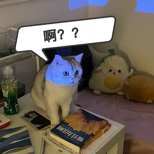 西瓜说考研 