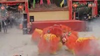 田阳舞狮之一