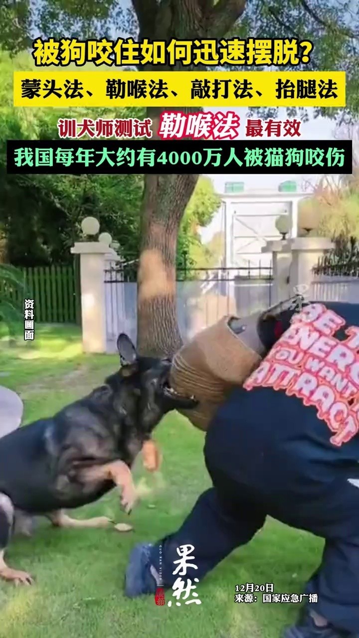 被狗咬住如何迅速摆脱?