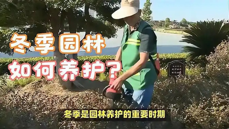 绿化养护冬重要,修剪施肥病虫扫,园林四季皆多娇
