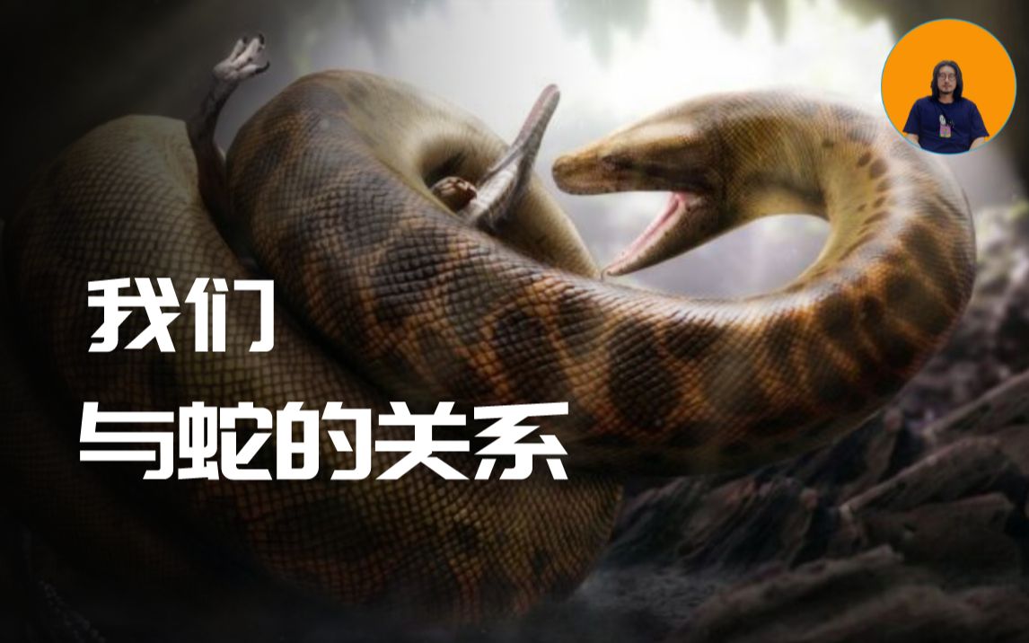 我们与蛇的共同进化史 670万年前.250万年前.会是巧合吗?