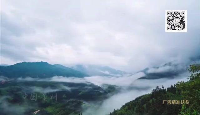 贵州刺梨央视公益广告宣传片,传递能量。