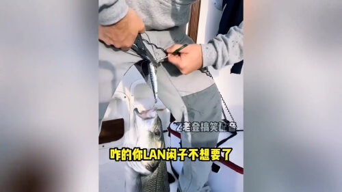 挺有准确度