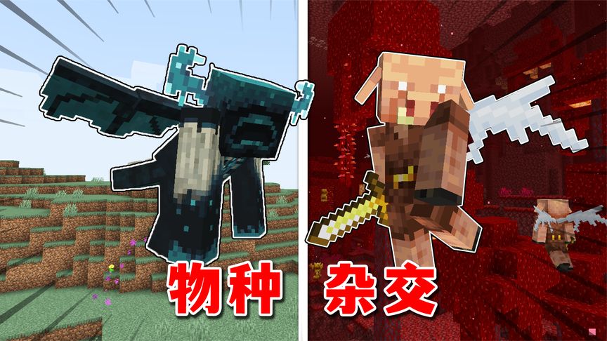 MC生物基因杂交!循声守卫和末影龙结合?猪灵获得穿墙能力!