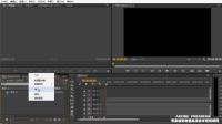 Adobe Premiere Pro CC视频编辑基础教程-导入项目/XML/AAF文件