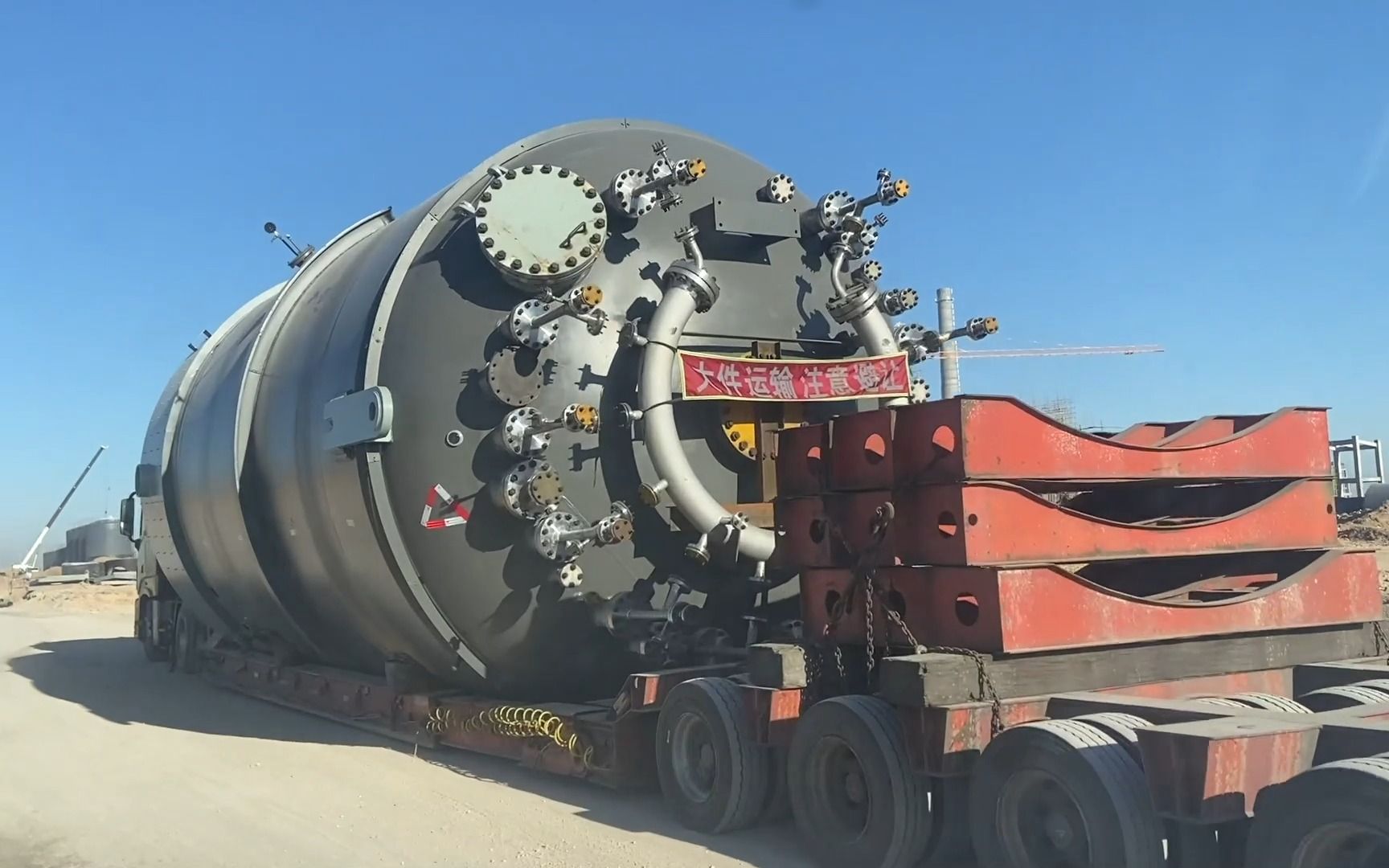 [我的生活VLOG]今天碰到两个羊群,吓得我赶紧做抗原检测,没想到.