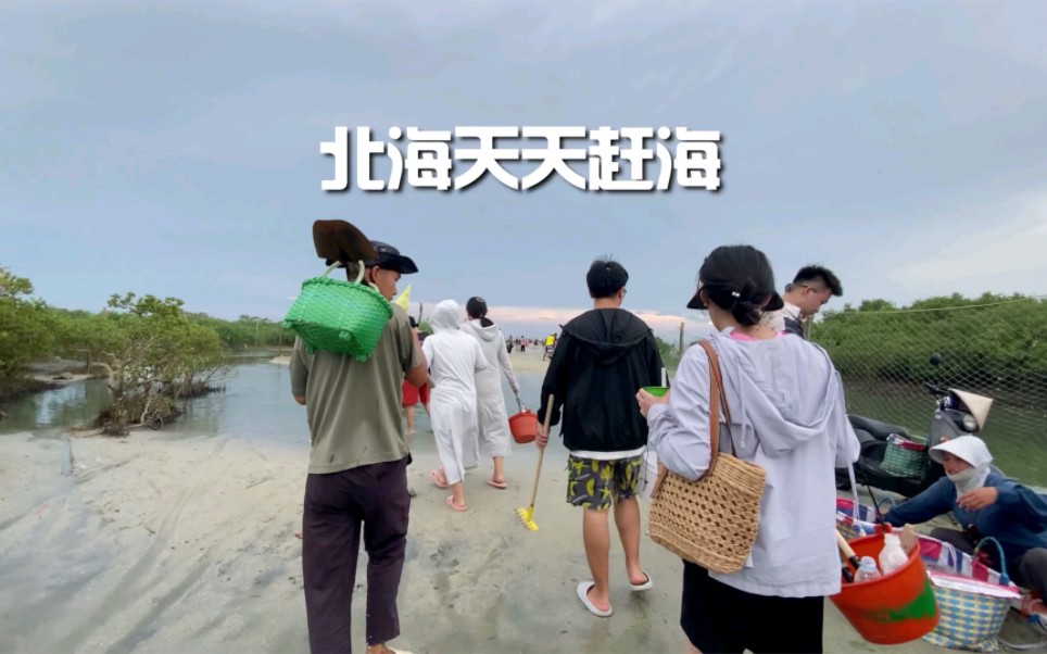 来北海还不知道怎么赶海的,一条视频告诉你,文字攻略记得收藏