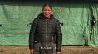 养羊老张分享:冬季羔羊咳嗽该怎么治疗?