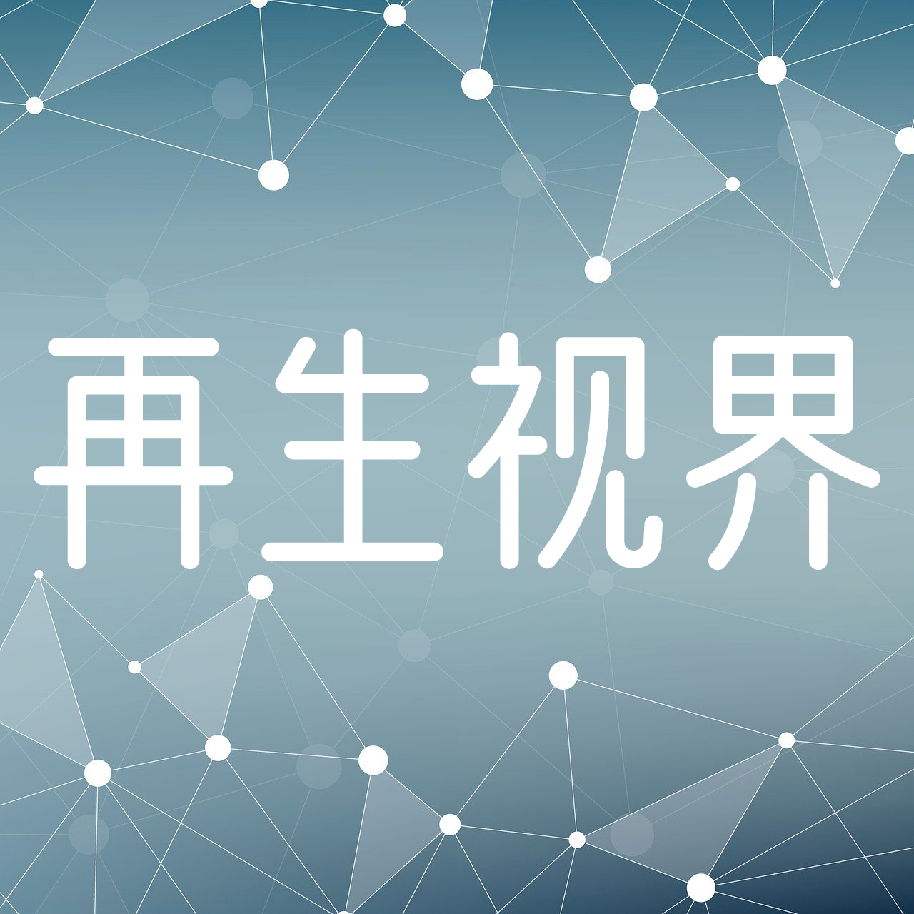 再生视界 