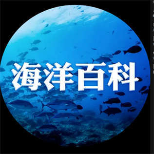 海洋百科