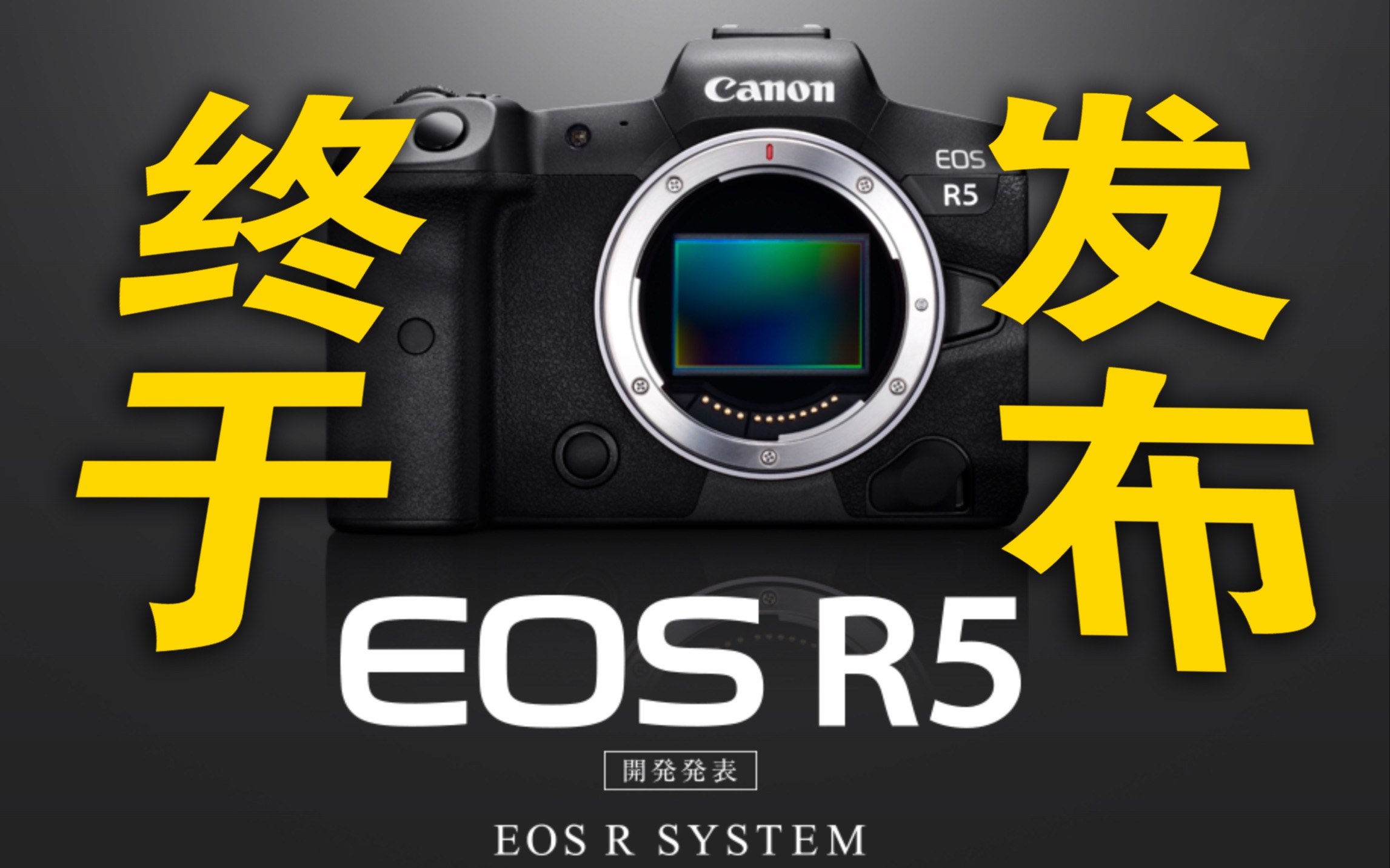 佳能EOS R5终于发布了!挤爆牙膏的数据!我买了!