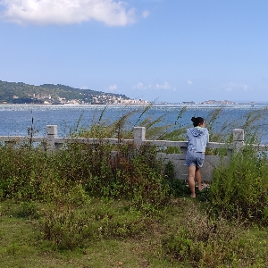 低端制造业民工 