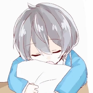 鸑鷟YZ 