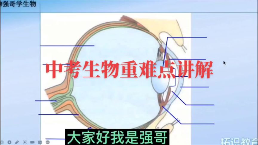 #中考生物知识点 #一起学习 #中考生物知识点