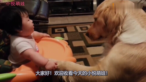 狗狗生气了,宝宝跟狗狗握手言和,太可爱了