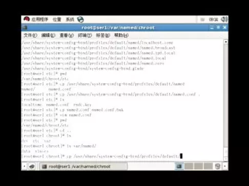 29.DNS服务器的配置与管理