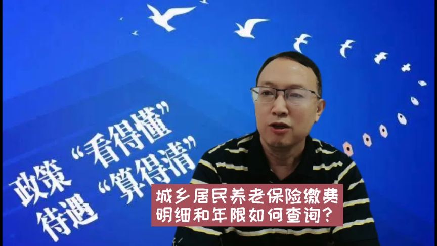 怎样查询城乡居民养老保险缴费明细?#社保 #城乡居民养老保险