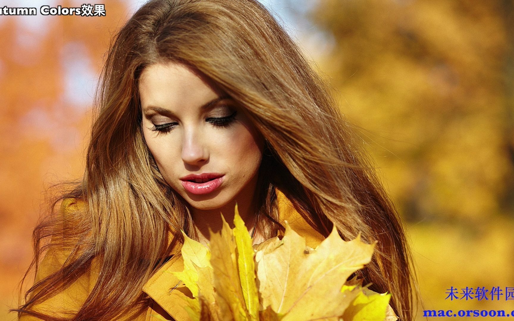 秋季风景旅拍照片LUTs调色预设