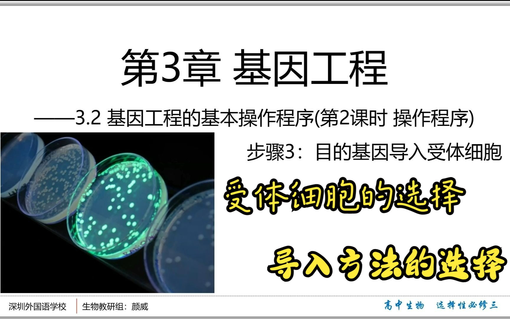 ...3.2.2基因工程的基本操作程序 第3课时目的基因导入受体细胞(详细...