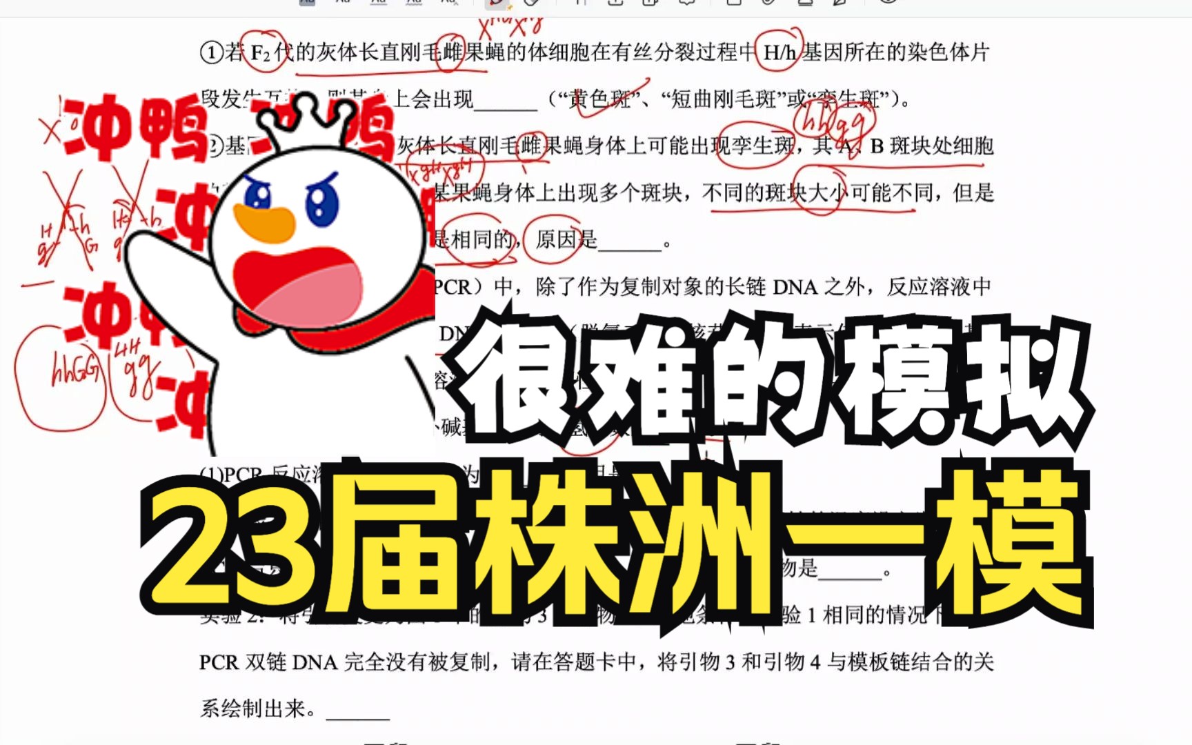 【株洲一模生物4】湖南省株洲市2023届高三年级教学质量统一检测(一...