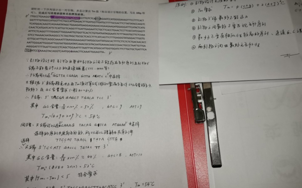 PCR引物的设计【概念、原则、习题、计算】仅供参考