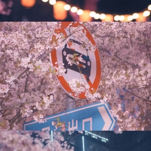 政治老师小小 