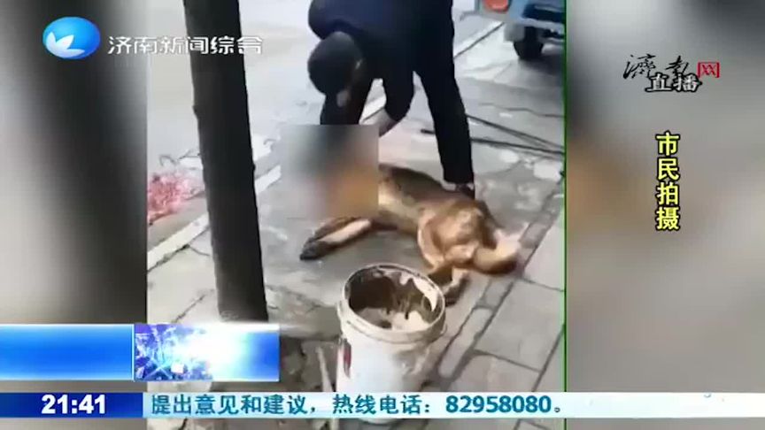 残忍!饭店当街宰杀活狗,过路市民大惊,旁边还有只活狗在围观