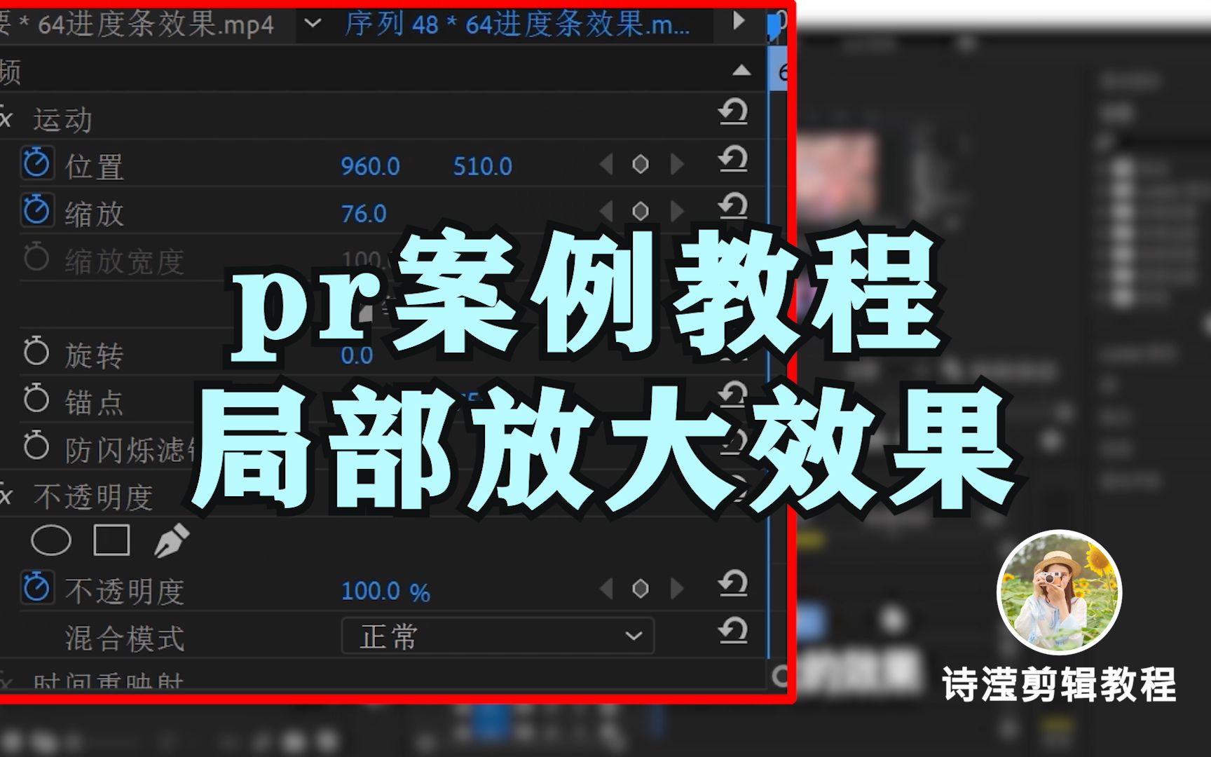 【pr教程】【pr小技巧】局部放大效果