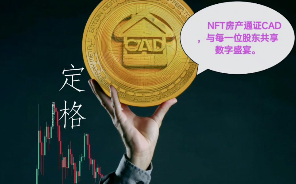 NFT房地产通证 CAD币股同权,与每一位股东共享数字盛宴