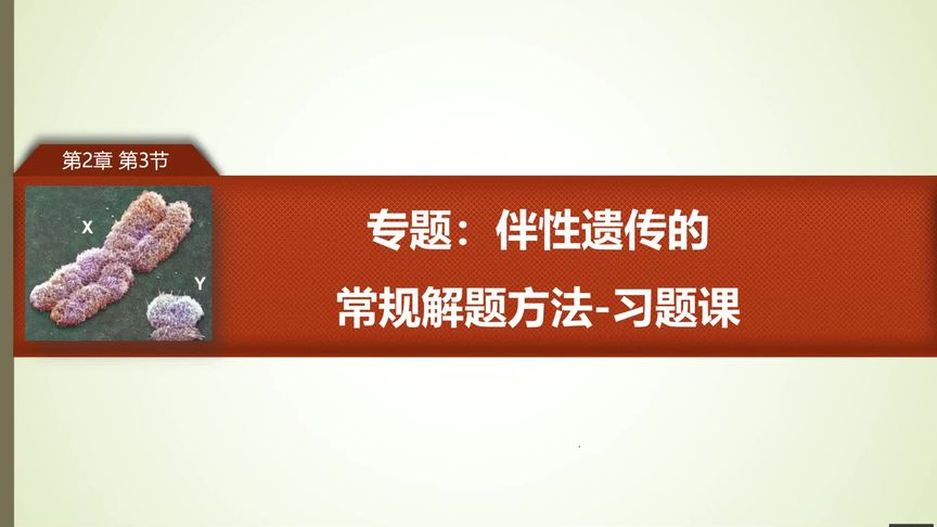 2.3专题:伴性遗传的常规解题方法-习题课