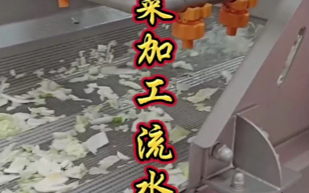 #中央厨房叶菜加工流水线 分拣→切菜→提升→浸泡→震动沥水→臭氧...