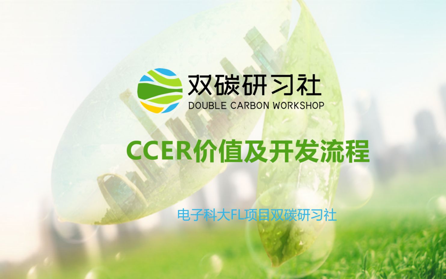 CCER价值及开发流程