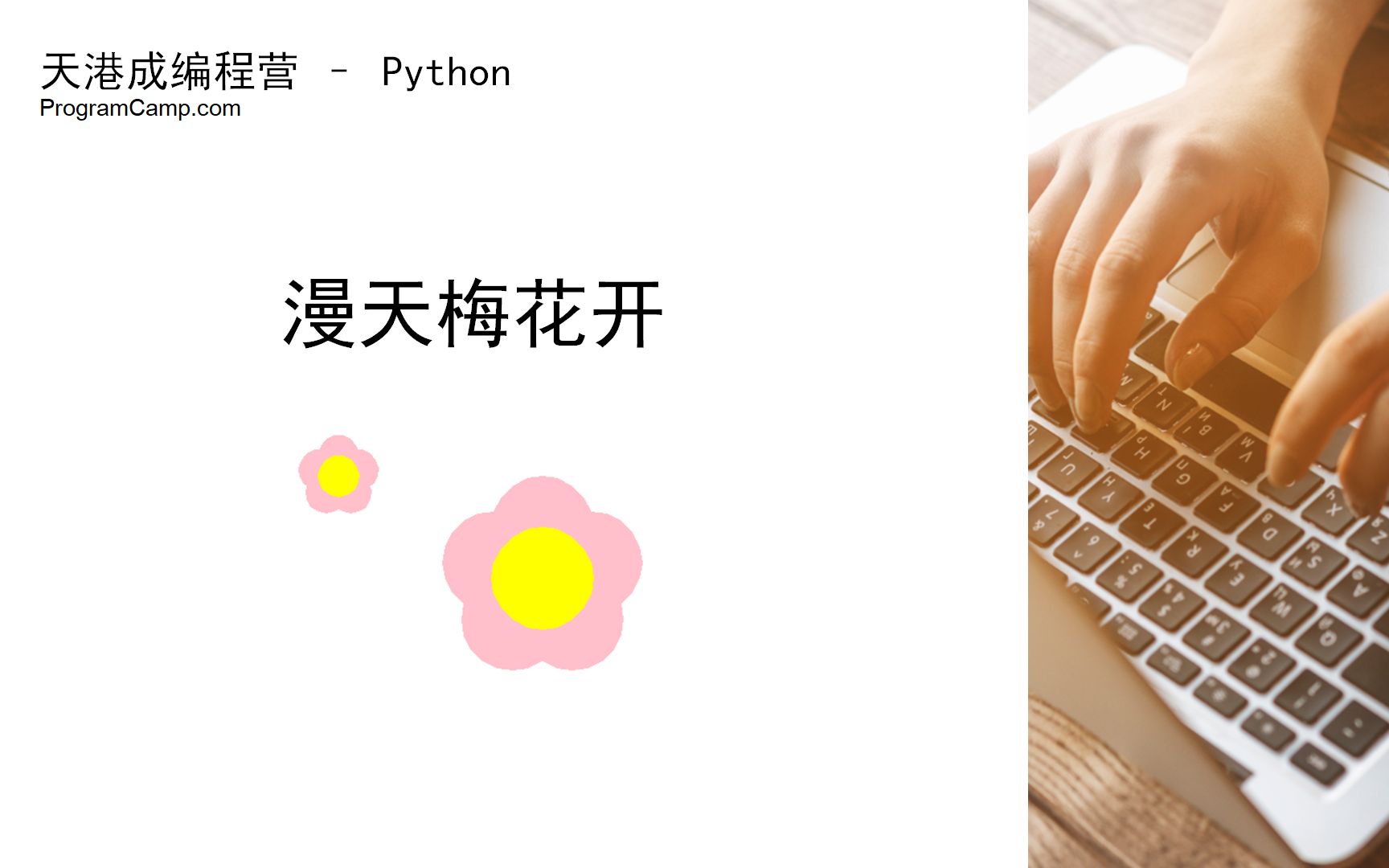 python海龟绘图:函数系列课(3)- 漫天花开